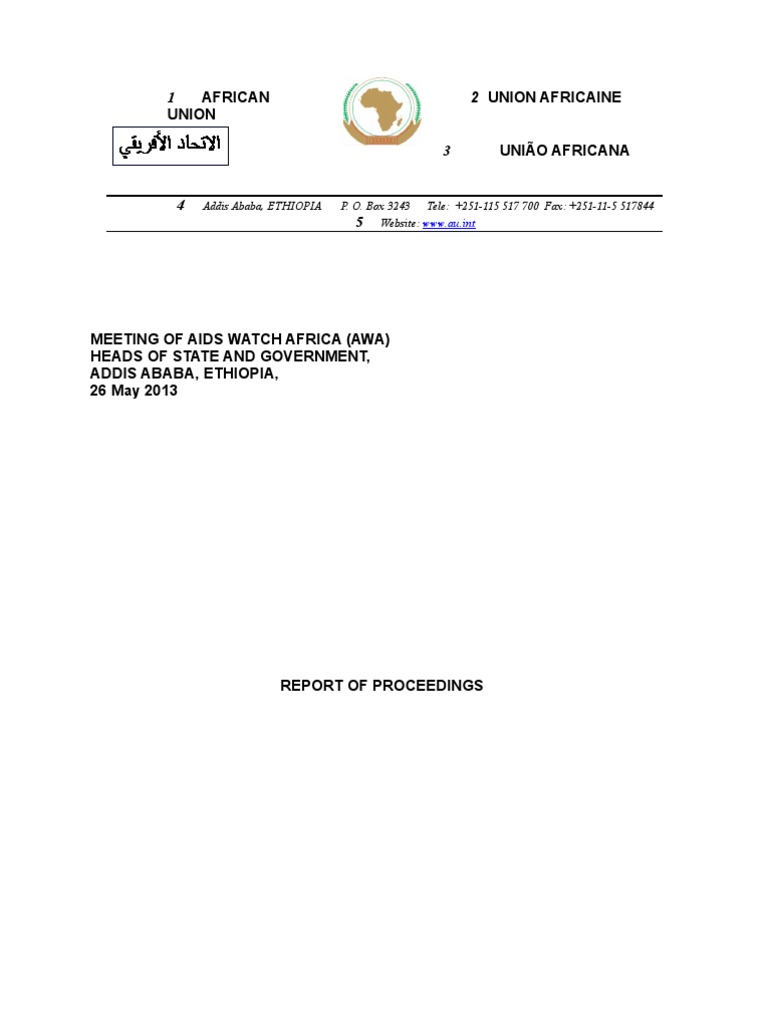 AWA Heads of State Meeting Report 2013 | PDF | Aids | Wellness