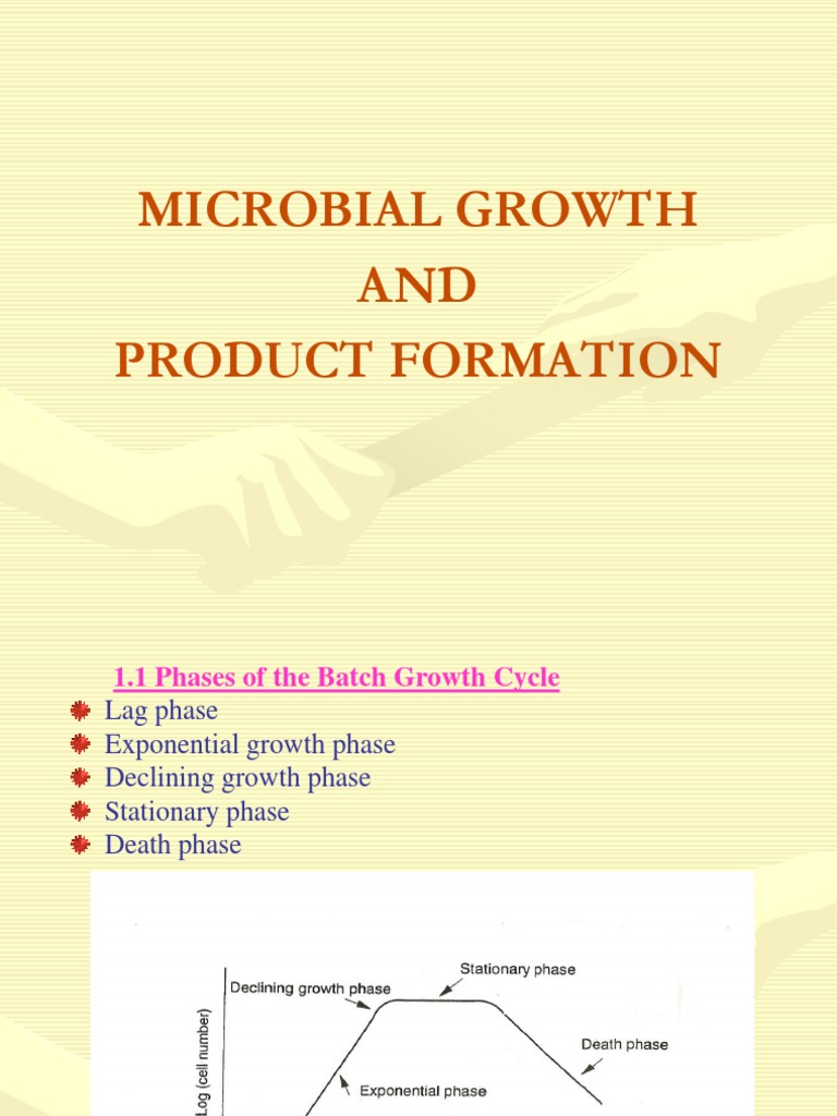 Microbial Growth Phases and Product Formation | PDF | Metabolism | Enzyme