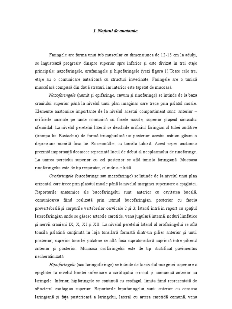 Aantomie, Fizio | PDF