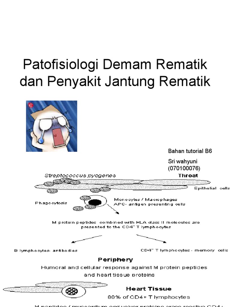 Patofisiologi Demam Rematik Dan Penyakit Jantung Rematik
