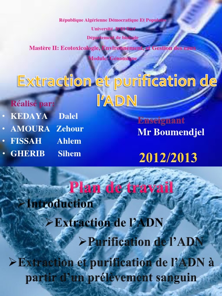 extraction et purification de l'ADN