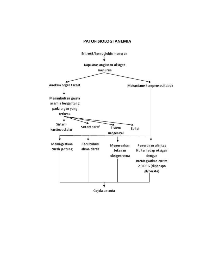 Patofisiologi Anemia | PDF