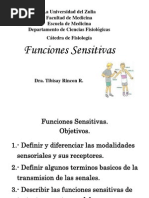 Anatomía y Fisiología Anorectal | PDF | Recto | Sistema digestivo