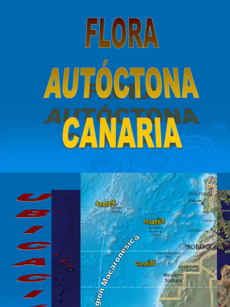 Flora Autoctona Canaria | PDF | Arboles | Hoja