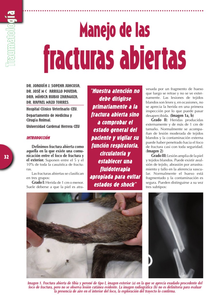Manejo integral de fracturas abiertas en animales: desde la ...