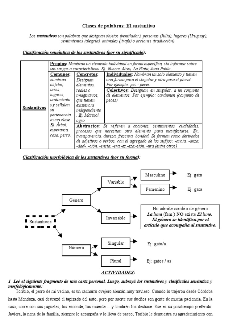 Clases de Palabras - El Sustantivo | PDF | Sustantivo | Género gramatical