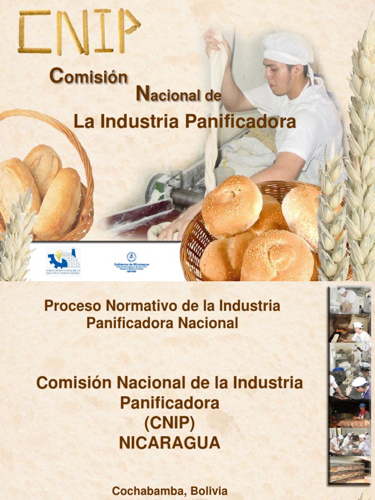 CNIP Nicaragua | PDF | Cooperativa | Gobierno de españa