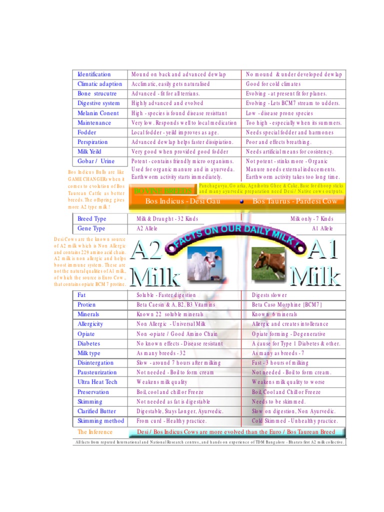 A1 Vs A2 Milk and Its Source | PDF | Milk | Cattle