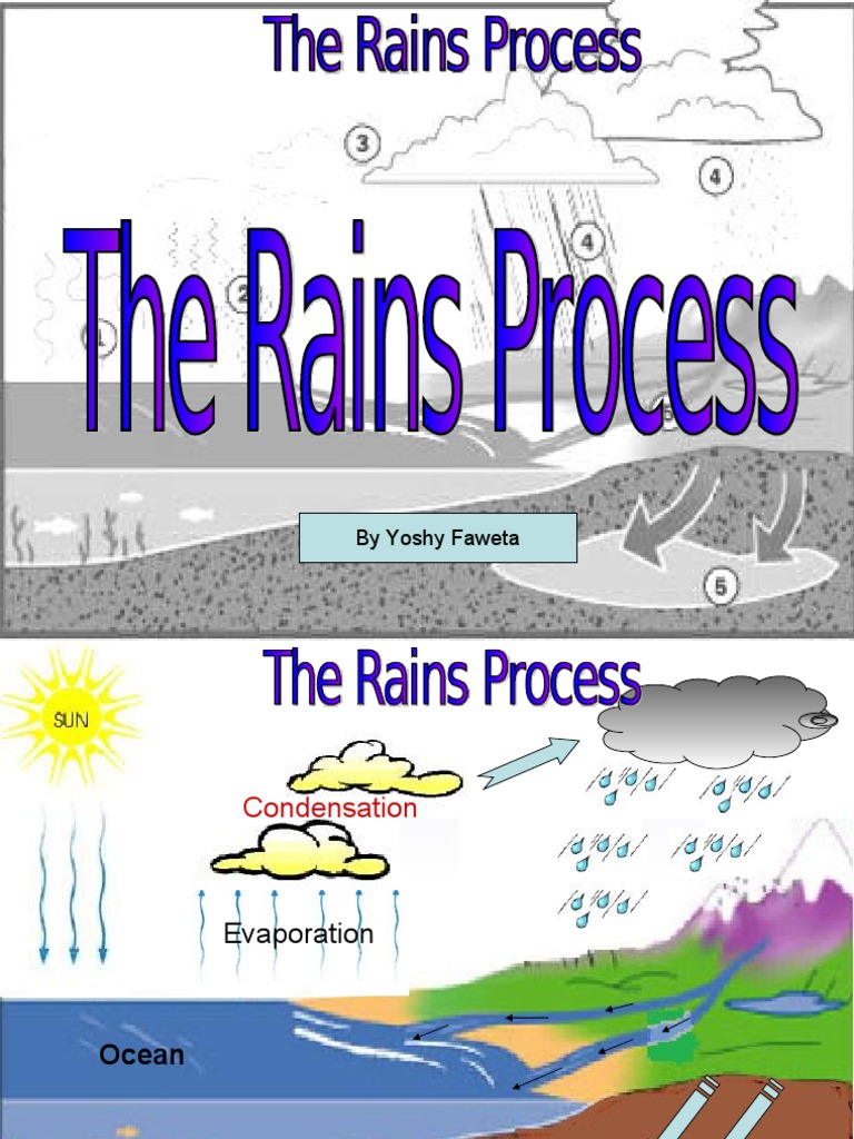 Rain Process | PDF | Hydrology | Forms Of Water