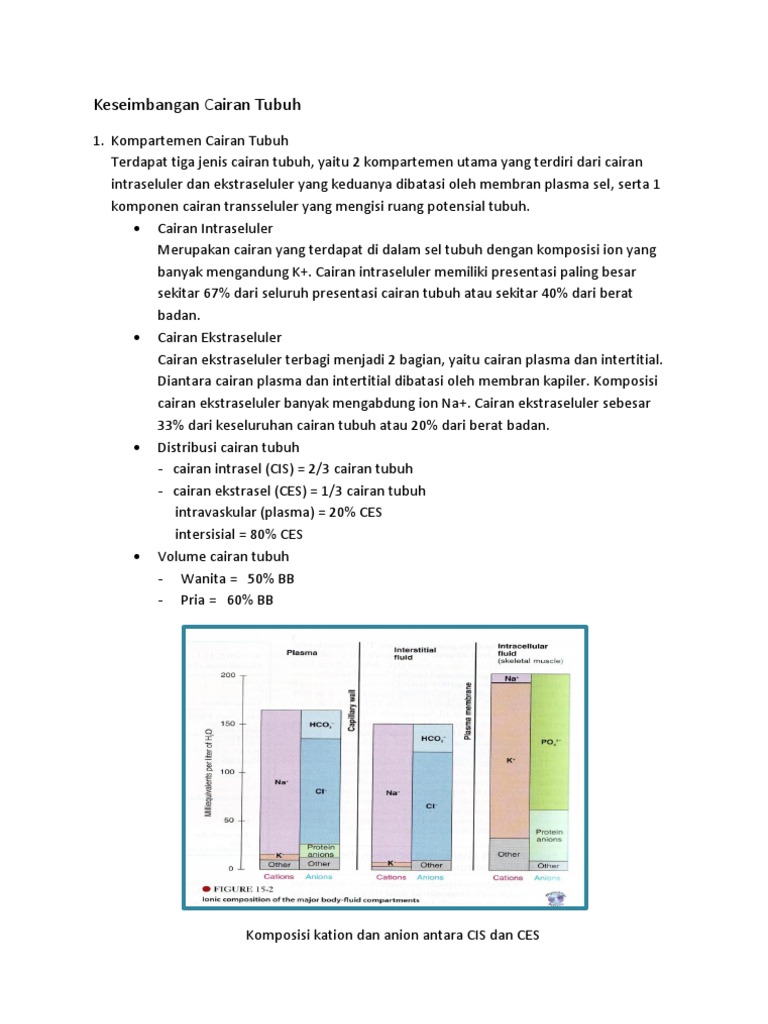 Keseimbangan Cairan Tubuh | PDF