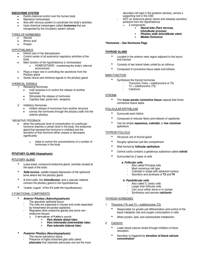 Endocrine System | PDF | Adrenal Gland | Pituitary Gland