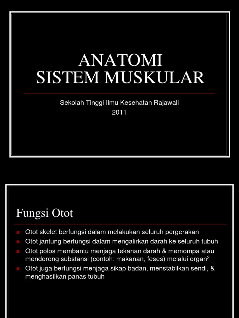 Anatomi Sistem Muskular | PDF | Kaki Manusia | Anatomi Primata