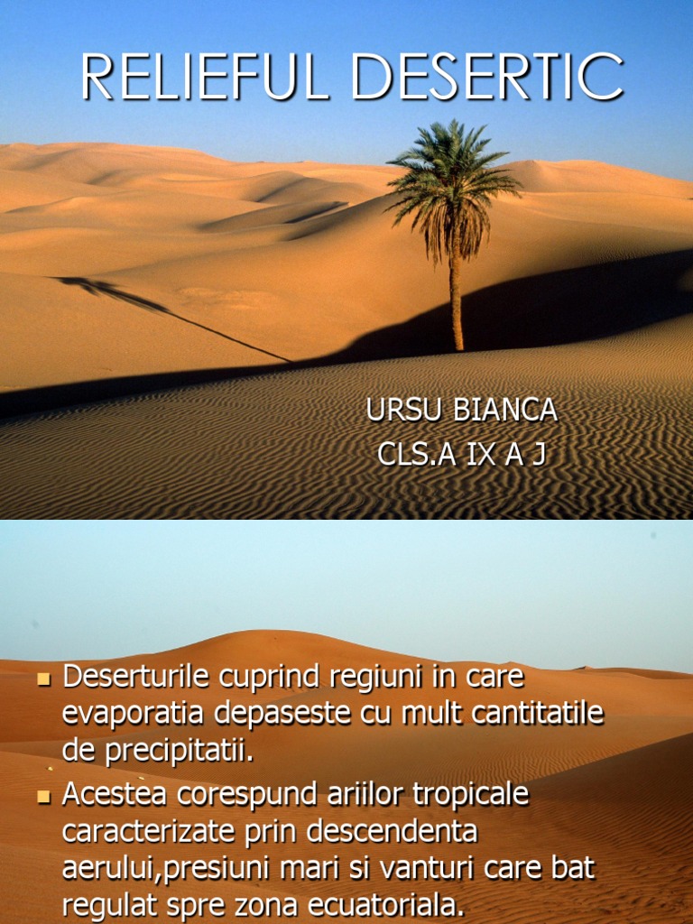 Relieful Desertic | PDF