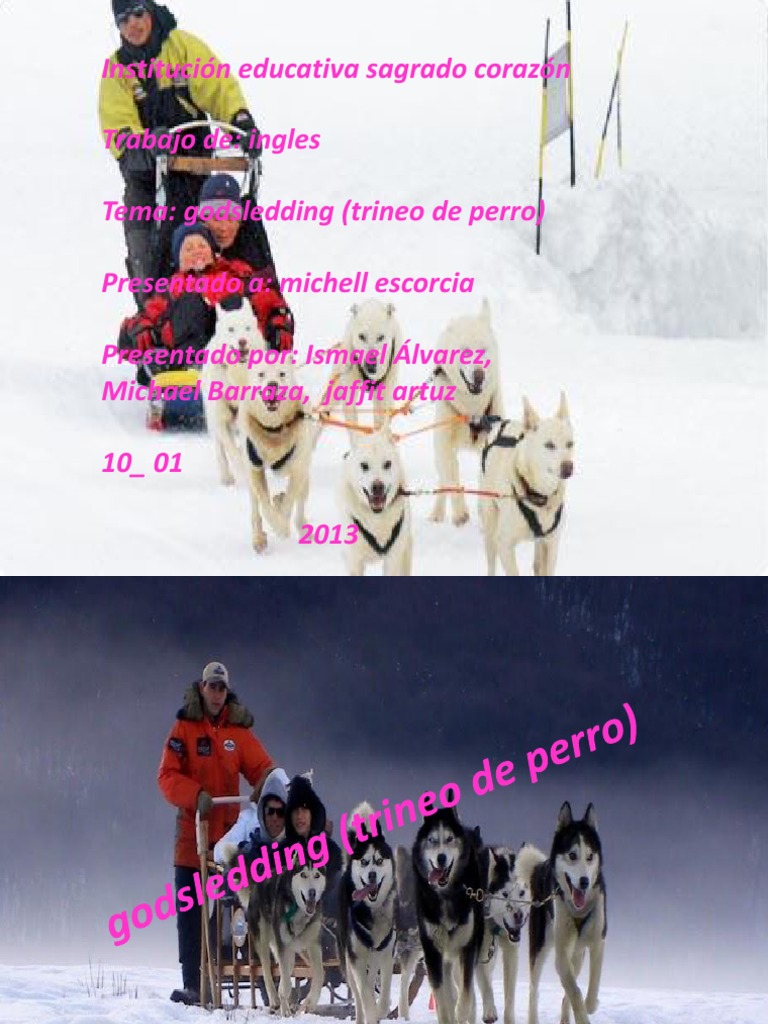 Introduction to Dog Sledding Sport | PDF