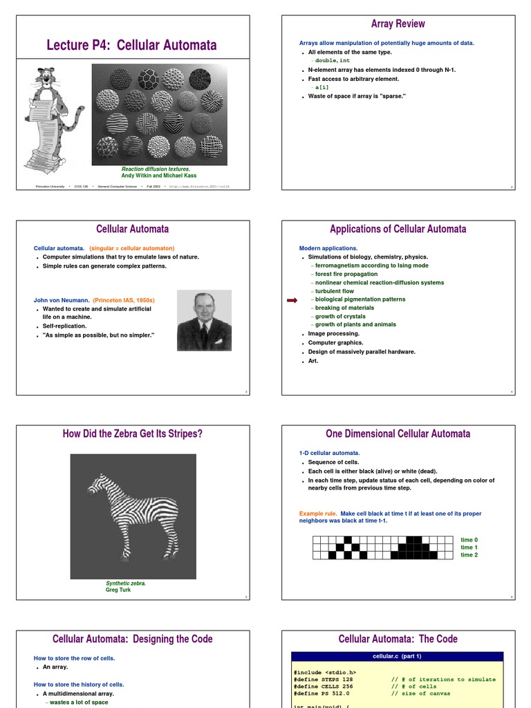 Lecture P4: Cellular Automata: Array Review | PDF | Applied Mathematics | Cybernetics