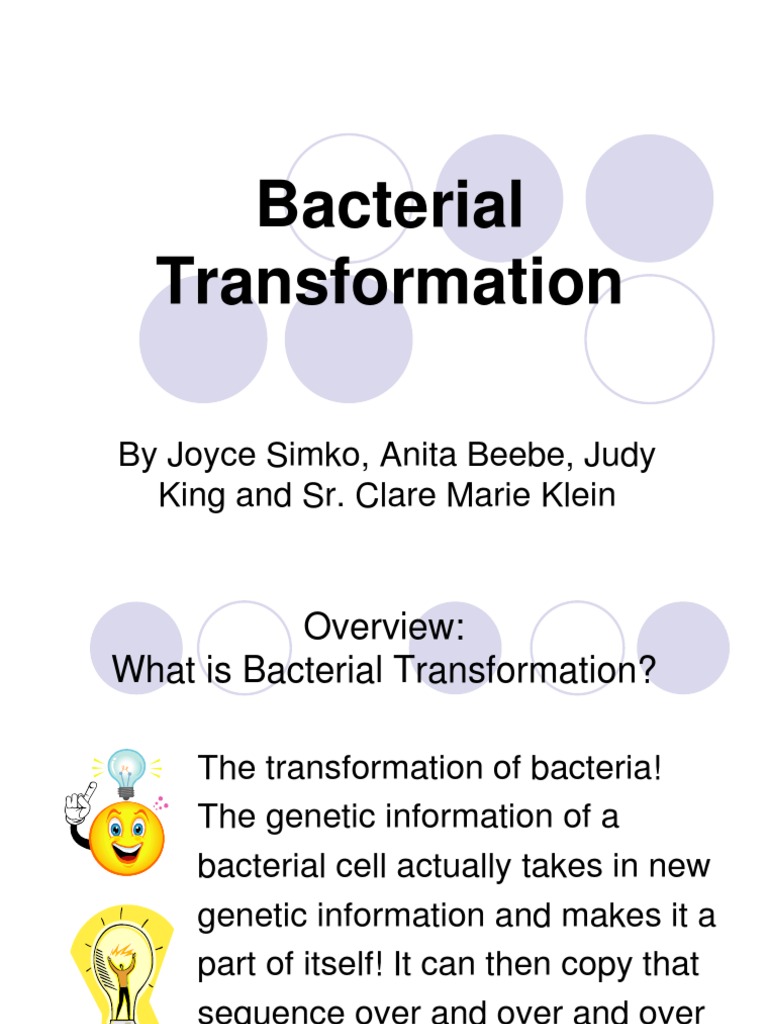 Bacterial Transformation | PDF | Transformation (Genetics) | Plasmid
