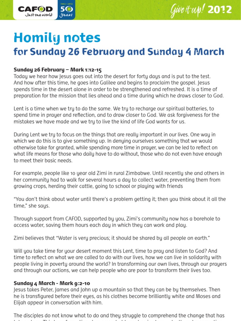 Lent2012 Homily Notes | PDF | Gospel Of Mark | Jesus