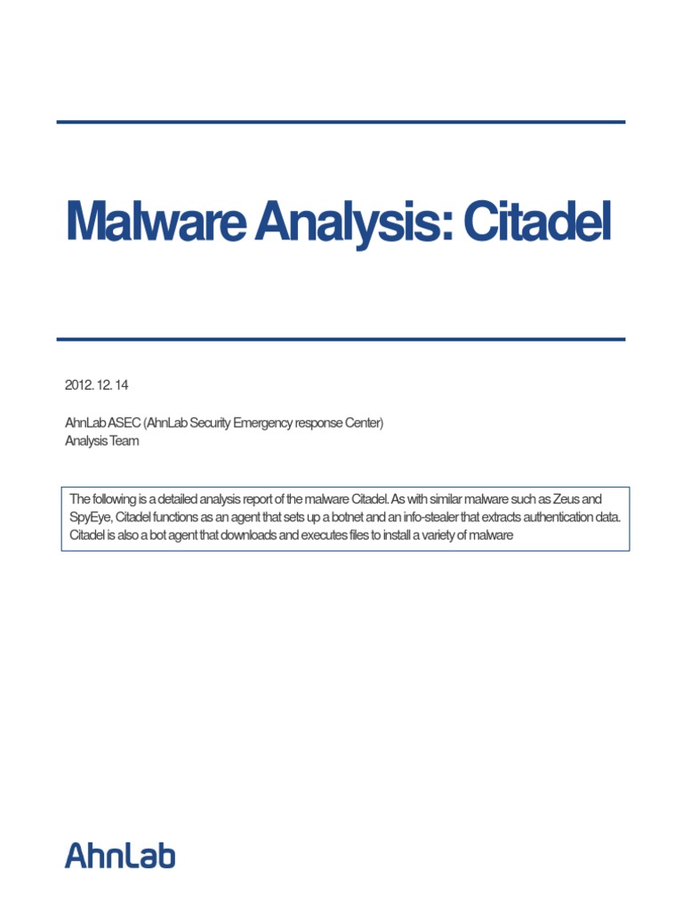 Citadel Trojan Report - Eng | PDF | Malware | Application Programming ...