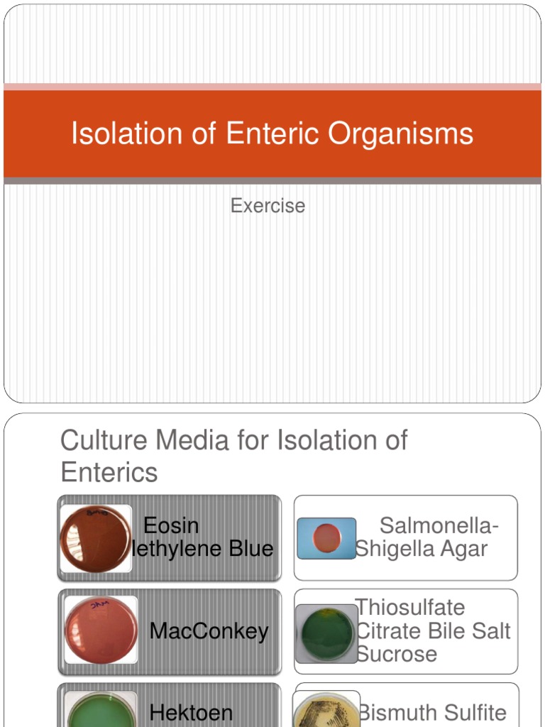 Isolation of Enteric Organisms (2) - 1 | PDF | Microbiology | Chemical ...