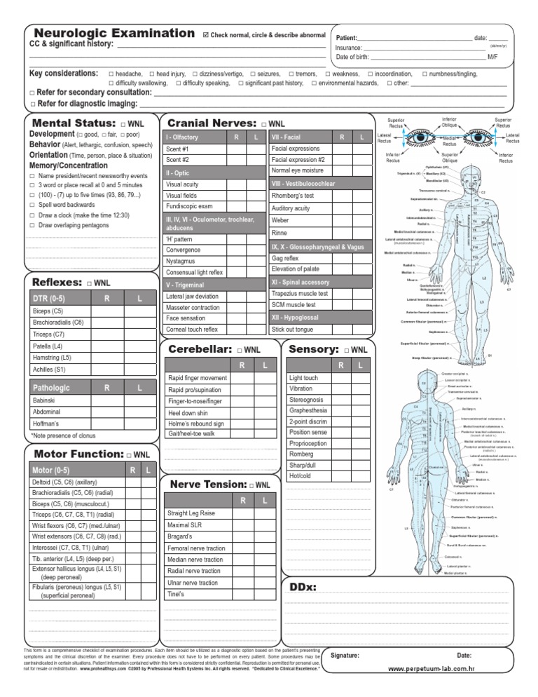 Neurologic Exam | Neurology | Nervous System
