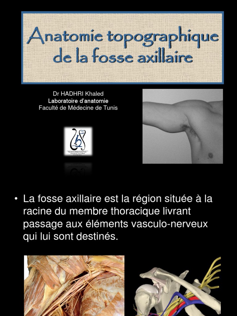 41.anatomie Topographique de La Fosse Axillaire | PDF | Anatomie ...