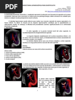 Sigmoidectomía Laparoscópica: Técnica y Equipo | PDF | Intestino grueso ...