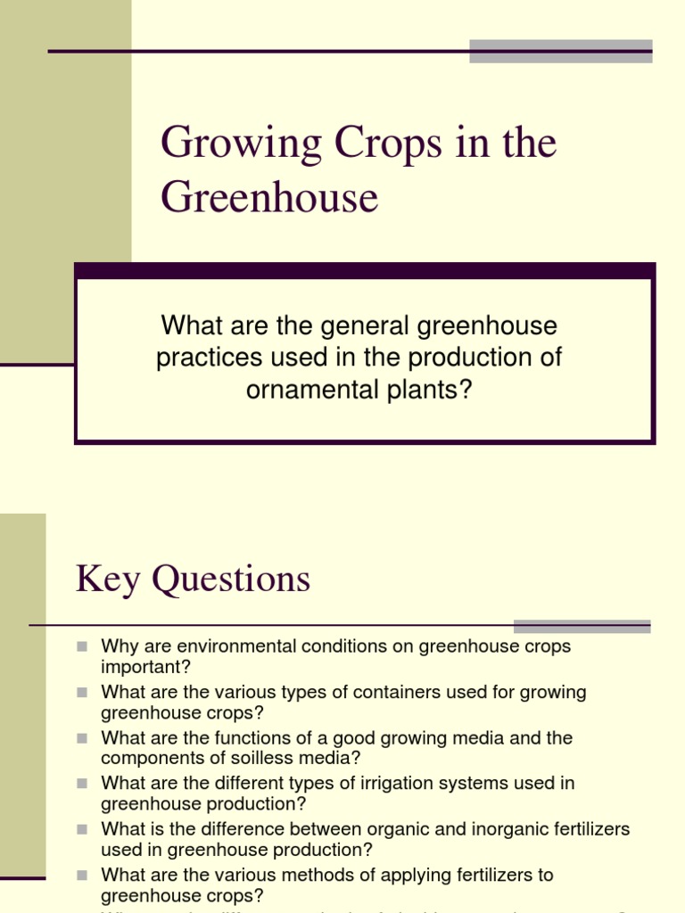 Growing Crops in The Greenhouse | PDF | Greenhouse | Irrigation