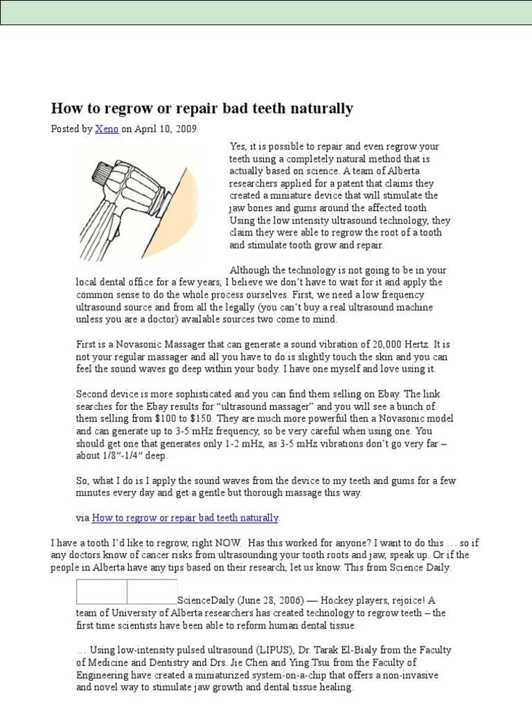 How To Regrow or Repair Bad Teeth Naturally | PDF | Tooth | Dentistry