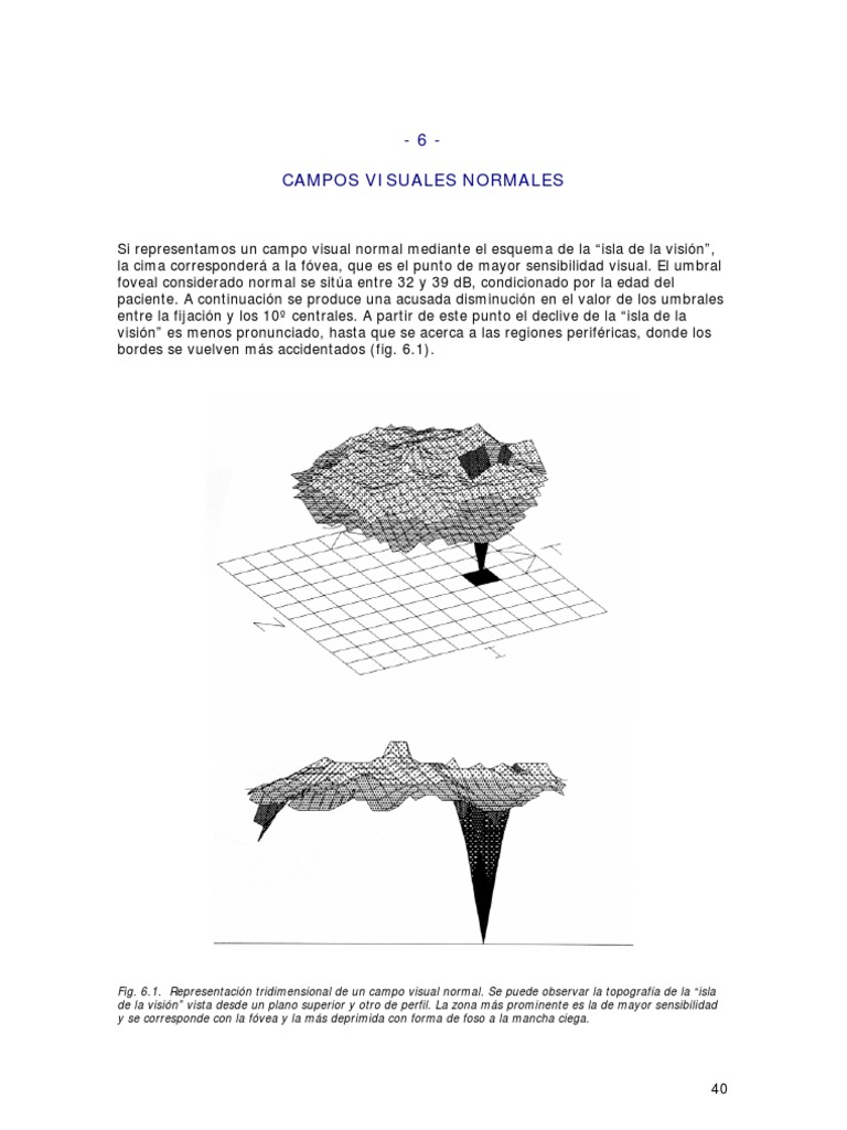 CAMPOS VISUALES NORMALES | Percepción visual | Glaucoma