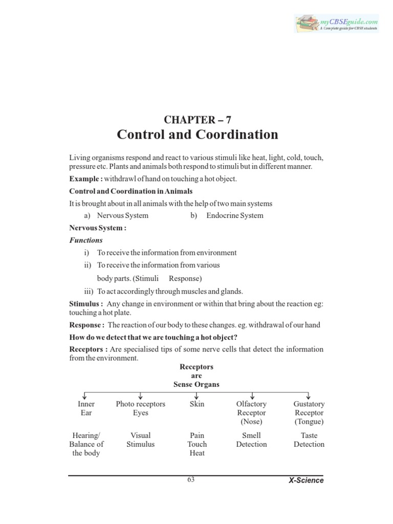 10 Science Notes 07 Control and Coordination 1 | PDF | Stimulus ...