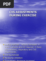 Bruce Protocol Stress Test | PDF | Treadmill | Physical Exercise