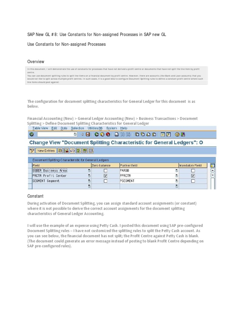SAP New GL #8 Use Constants For Nonassigned Processes in SAP New GL ...