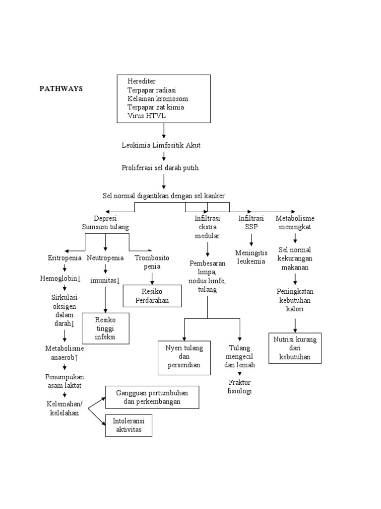 Pathway Leukimia Limfosit Akut