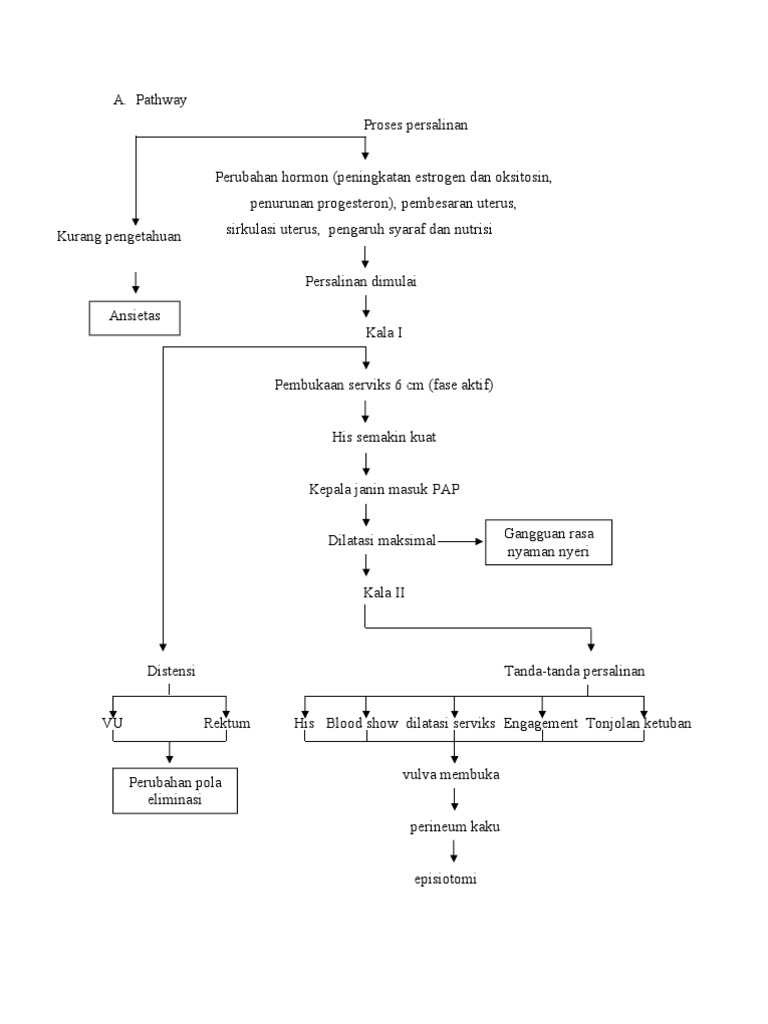 Pathway Partus (Proses Persalinan) | PDF