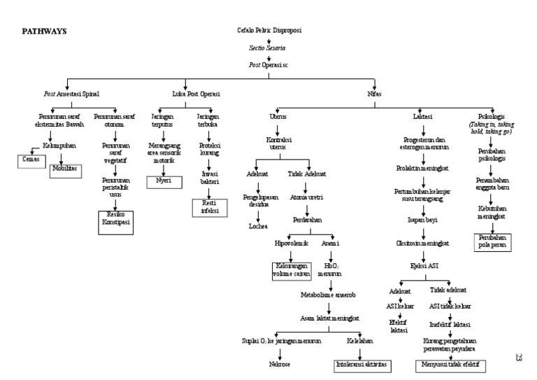 Pathway Post Operasi SC | PDF | Kesehatan Holistik