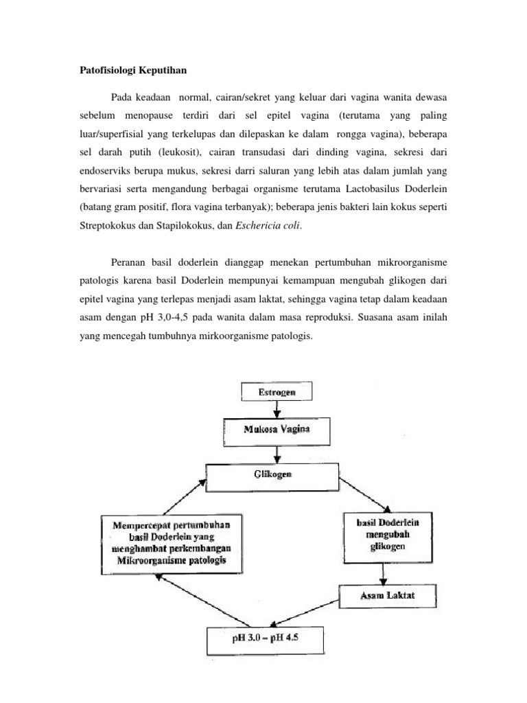 Patofisiologi Keputihan 2 | PDF | Sains & Matematika