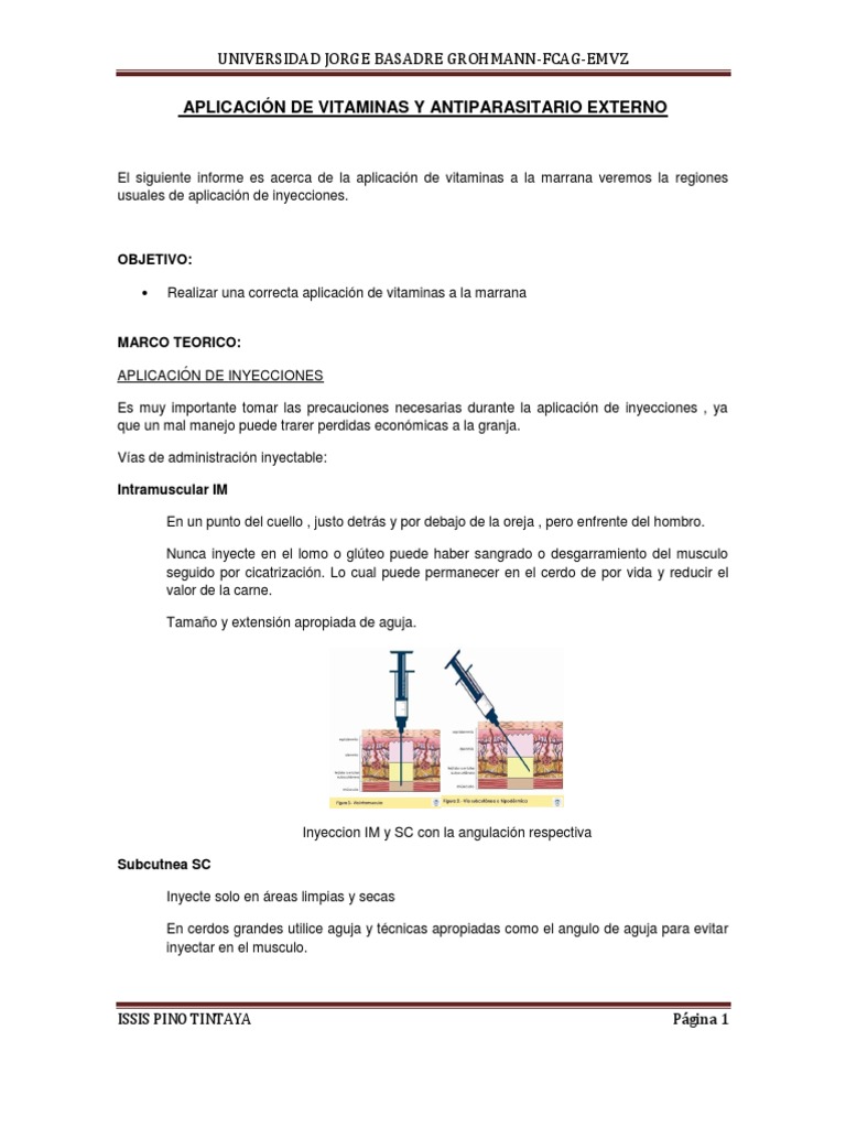 Emulsión Inyectable | PDF | Vitamina a | Vitamina