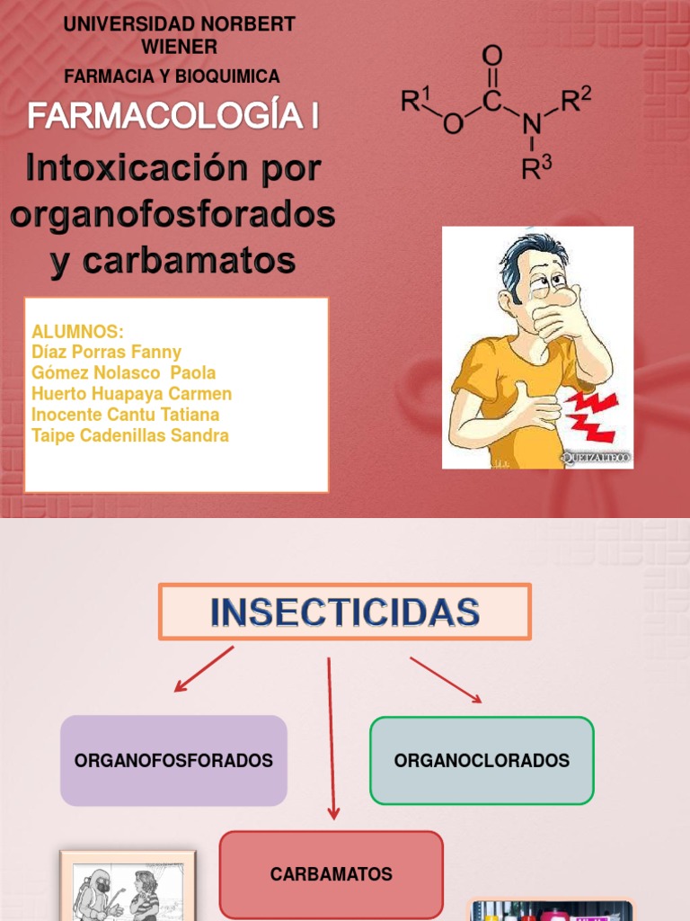 CARBAMATOS | PDF | Inhibidor de la enzima | Insecticida