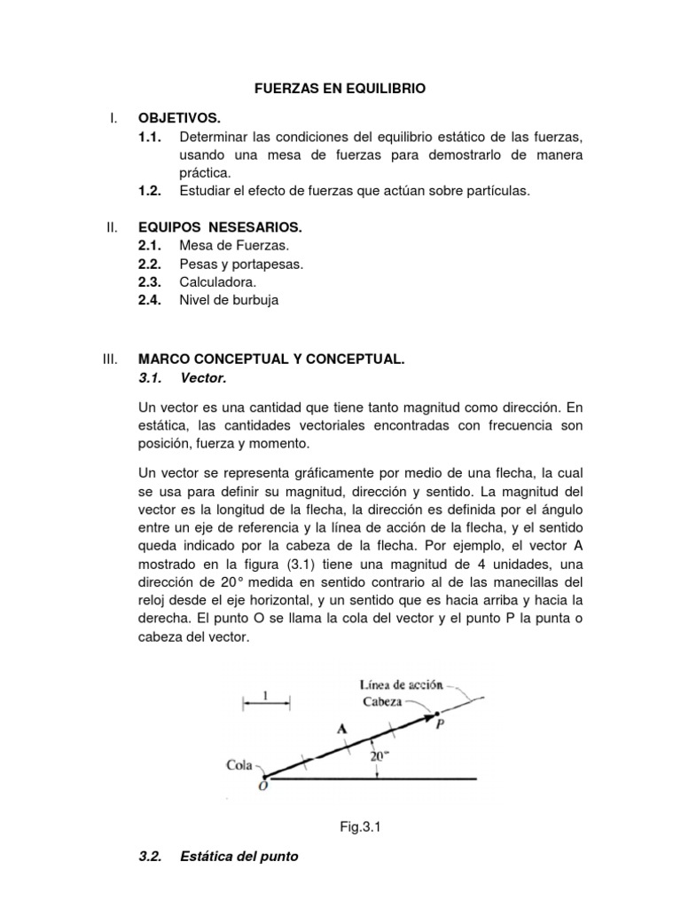 Practica de Fuerzas en Equilibrio | PDF | Vector Euclidiano | Movimiento (física)
