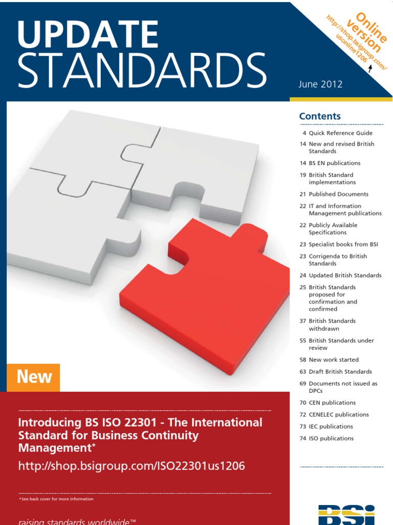 Guide For BSI | PDF | Expert | International Electrotechnical Commission