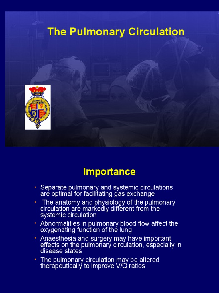 Pulmonary Circulation | PDF | Circulatory System | Blood Vessel