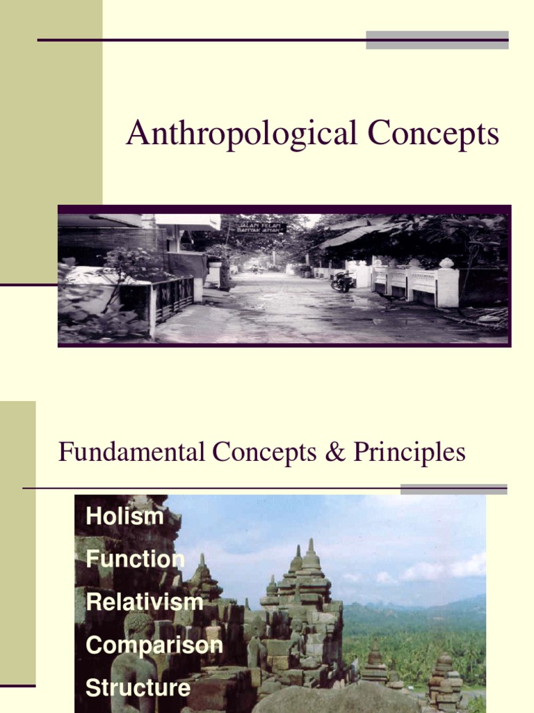 Key Anthropological Concepts Explained | PDF | Anthropology | Holism