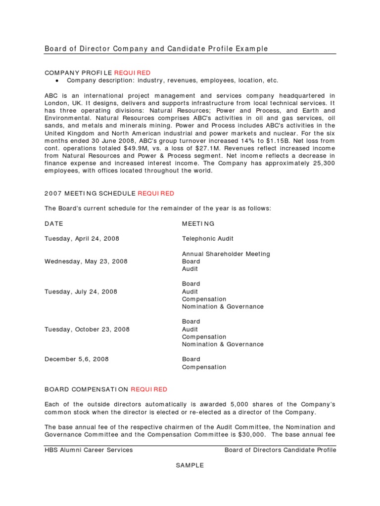 Candidate Profile Example | PDF | Board Of Directors | Chief Executive ...