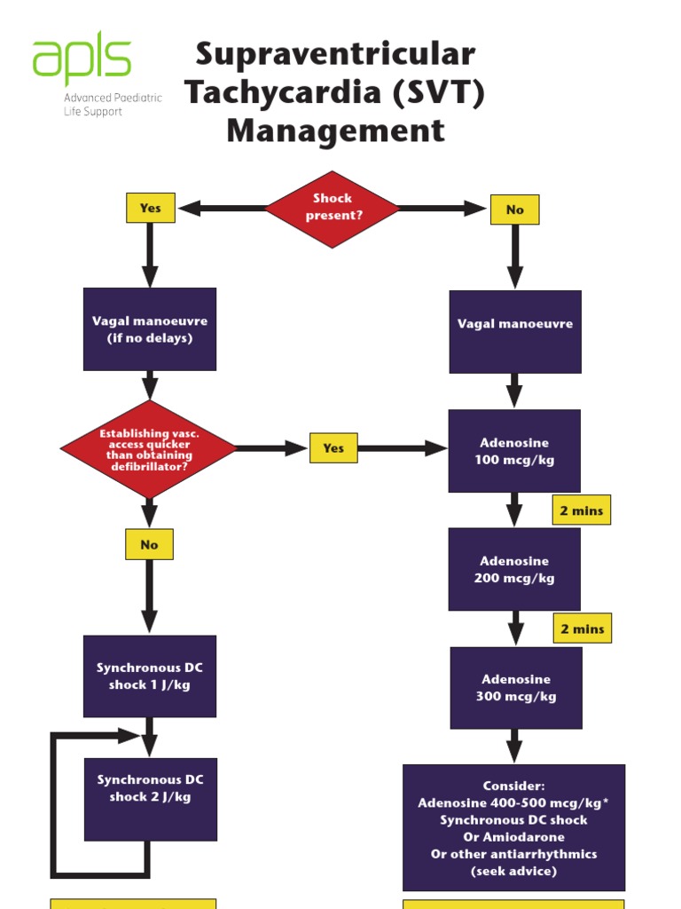 Algorithms - SVT | PDF