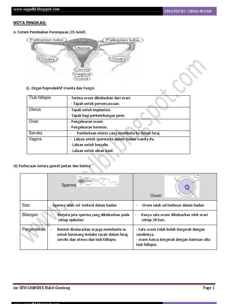 Nota Ringkas Bab 4 - Pembiakan | PDF