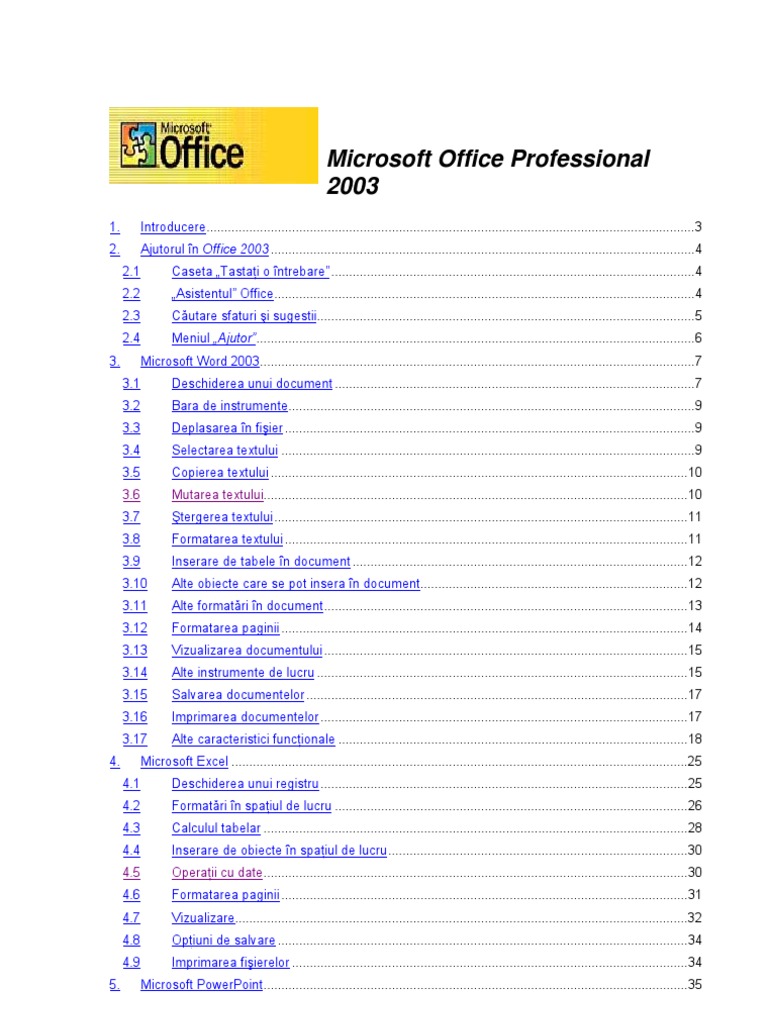 Microsoft Office Professional 2003 | PDF