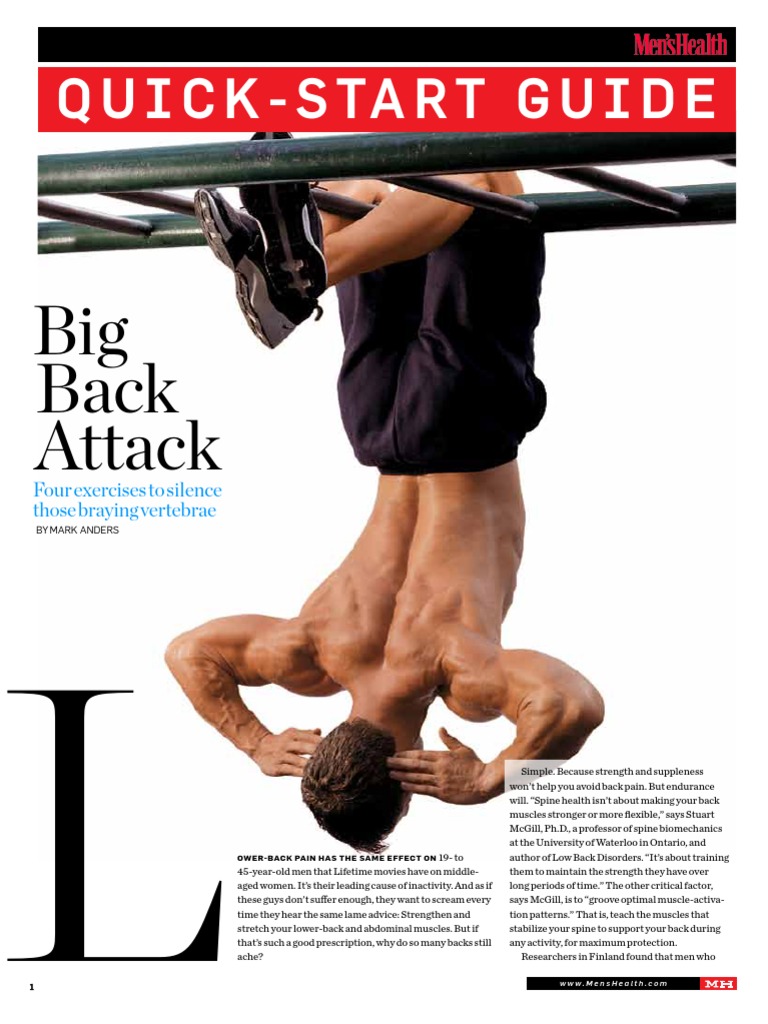 Essential Exercises for Lower Back Pain | PDF