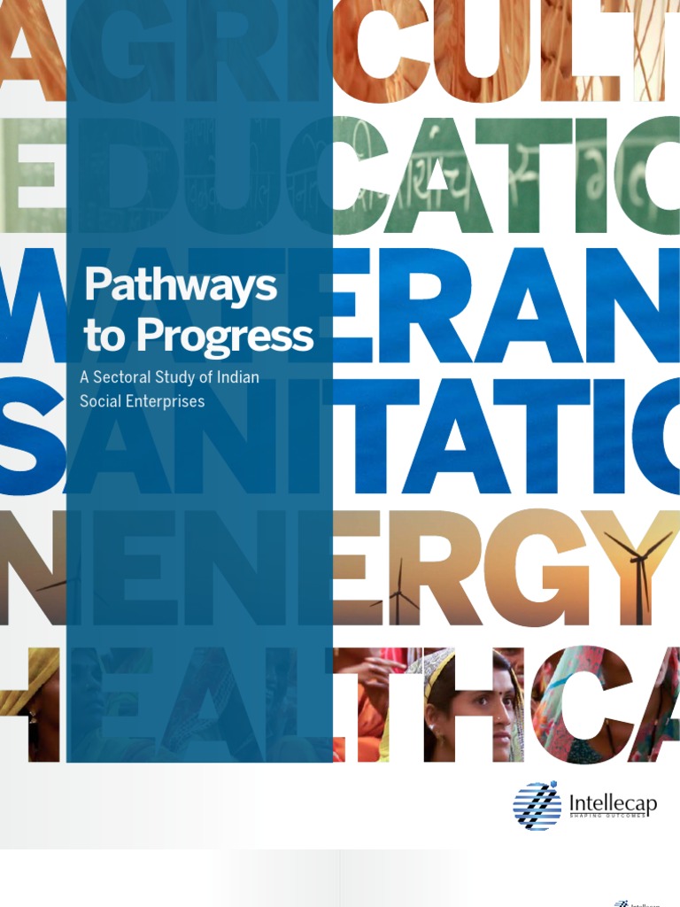 Intellecap Research Report On Social Enterprises | PDF | Social ...