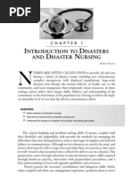 ICN Framework of Disaster Nursing Competencies | PDF | Emergency ...