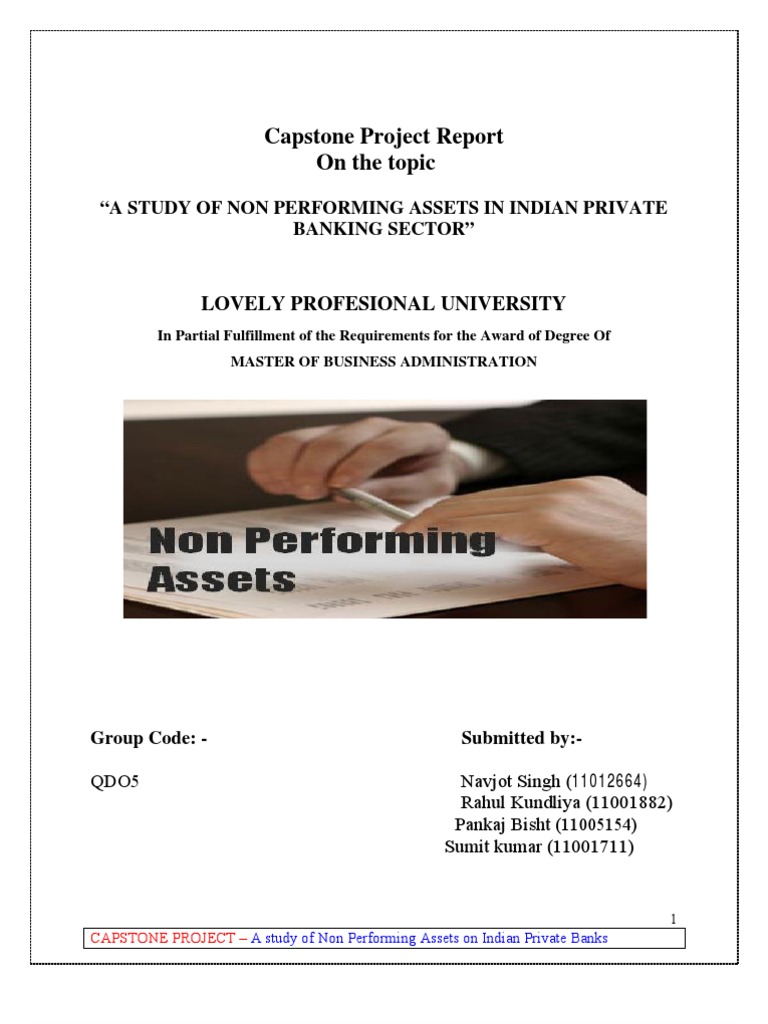 NPA Final Report | PDF